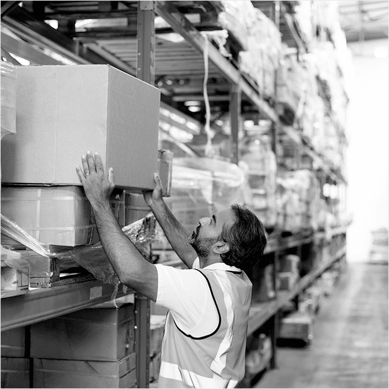 Digital Tachograph Rolls – TachPro